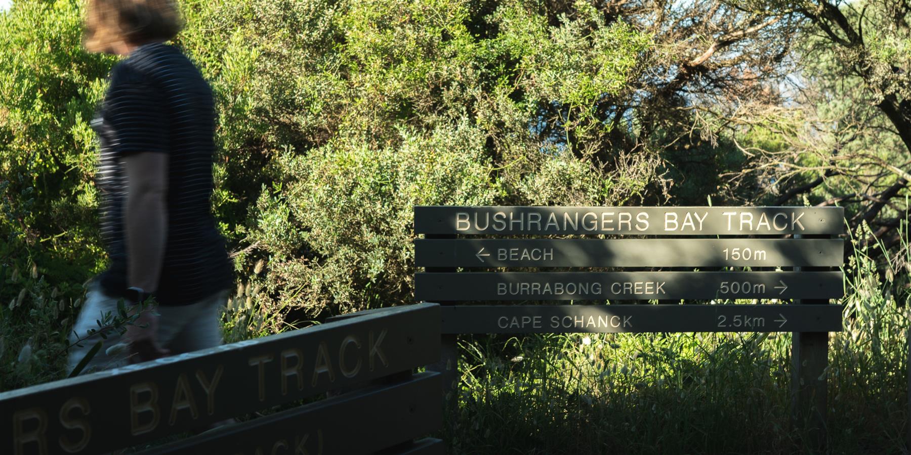How To Hike The Two Bays Walking Track
